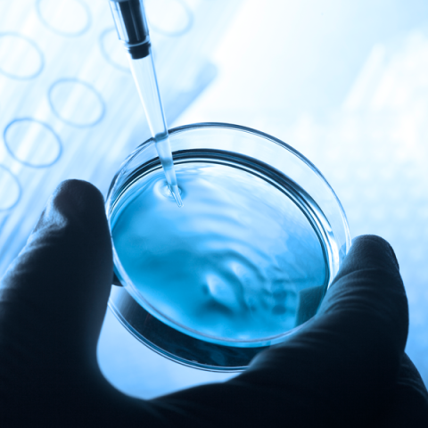 conception help practitioner alternative therapy therapist Cambridge